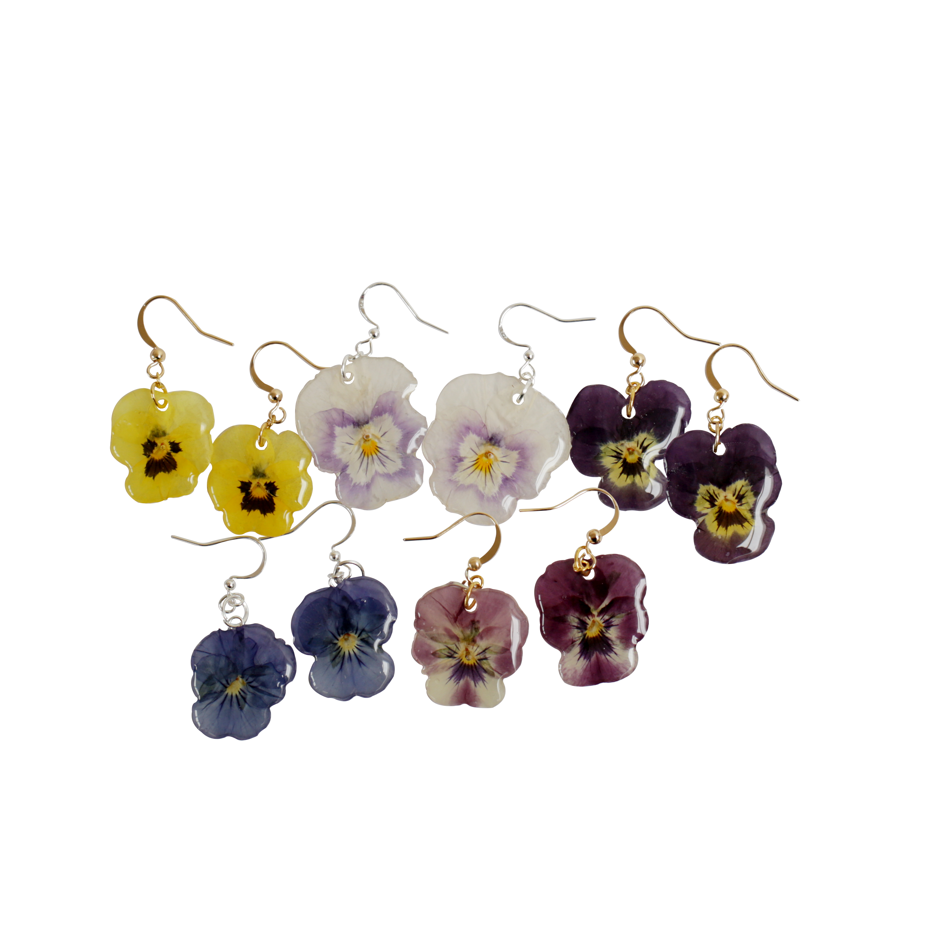 Pansy – NordicFlowers